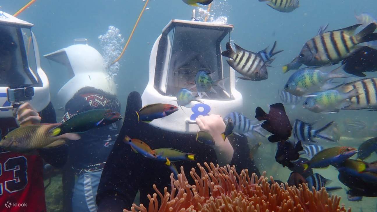 Snorkeling & Island Hopping Day Tour at Sapi & Manukan Island KK - Klook